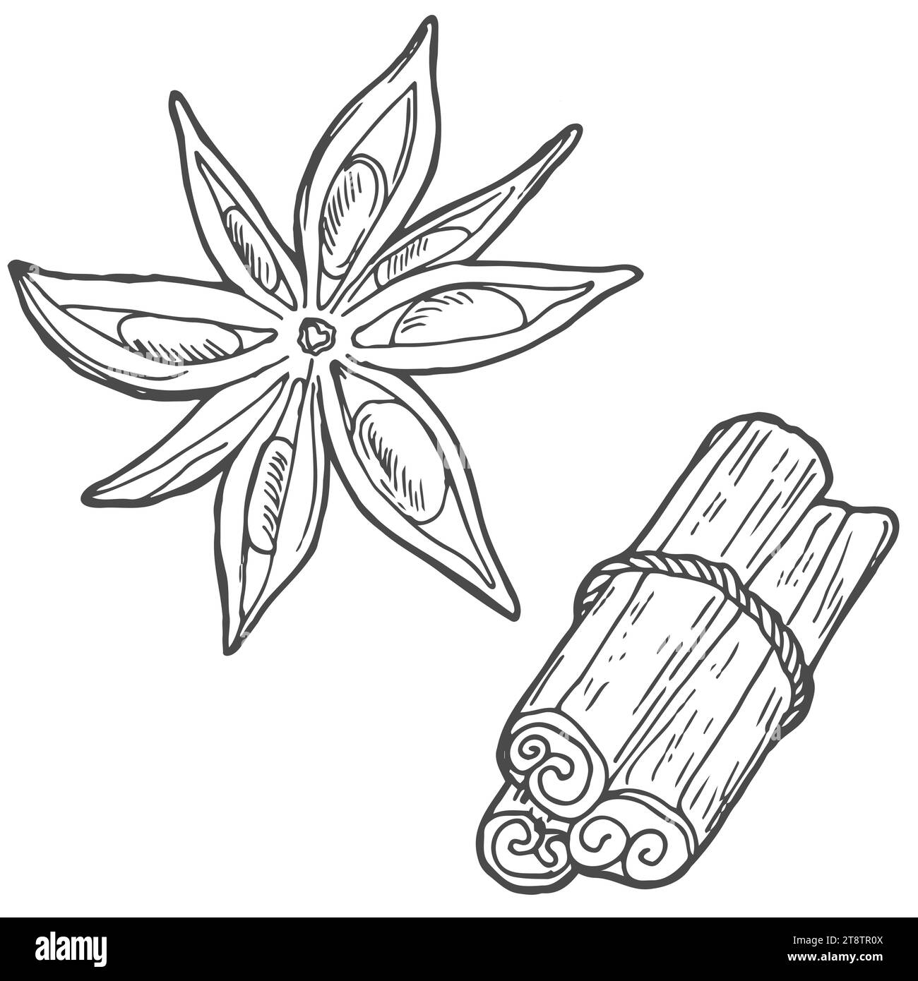 Star anise hand drawn vector illustration. Isolated sketch of anise ...