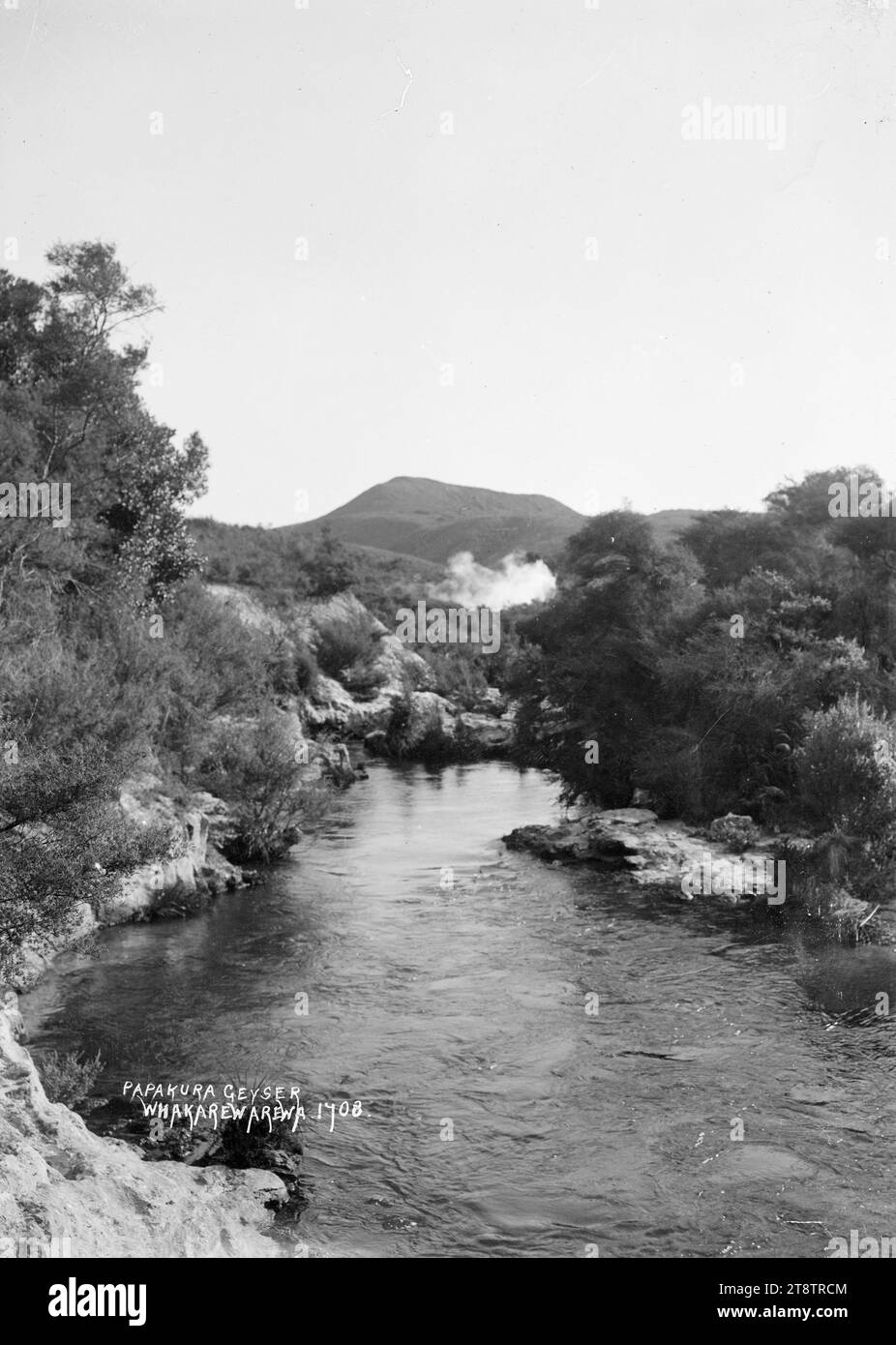 Papakura Geyser, Whakarewarewa, New Zealand, View of the Papakura ...