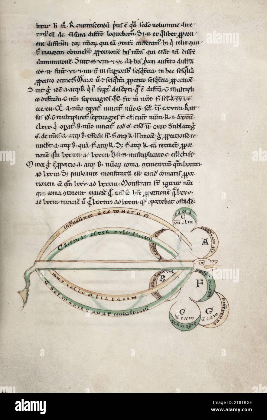 Text with zoomorphic diagram - Serpent, Leaf from Boethius' treatise on ...