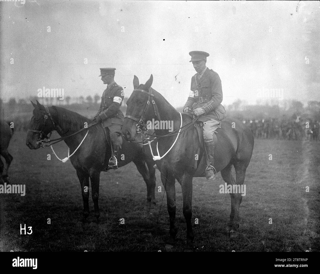 Winner and mount at New Zealand division horse show, The winner and ...