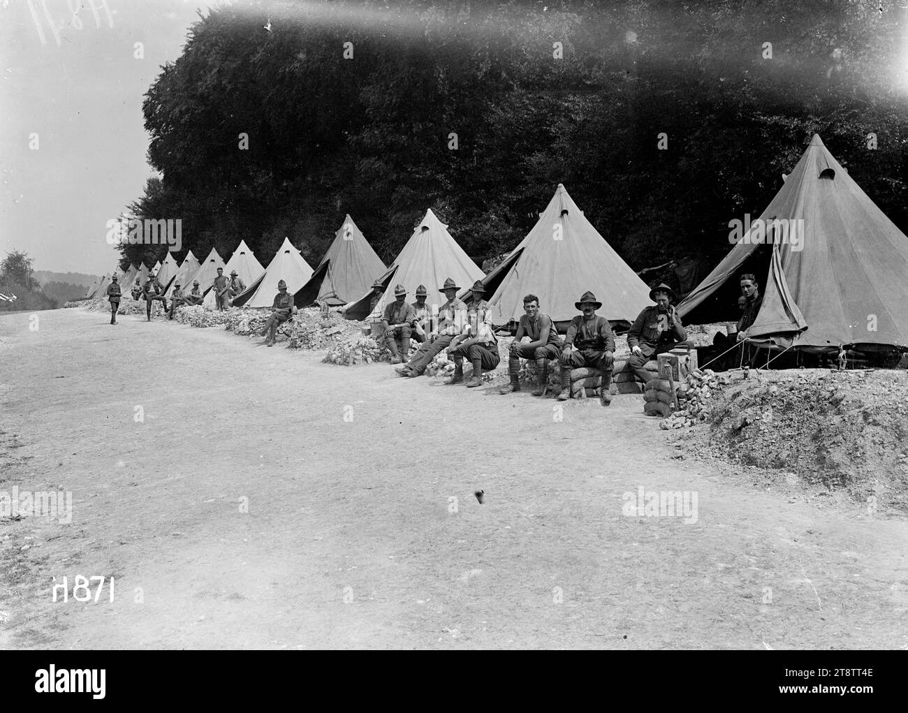 Army army war trees hi-res stock photography and images - Alamy