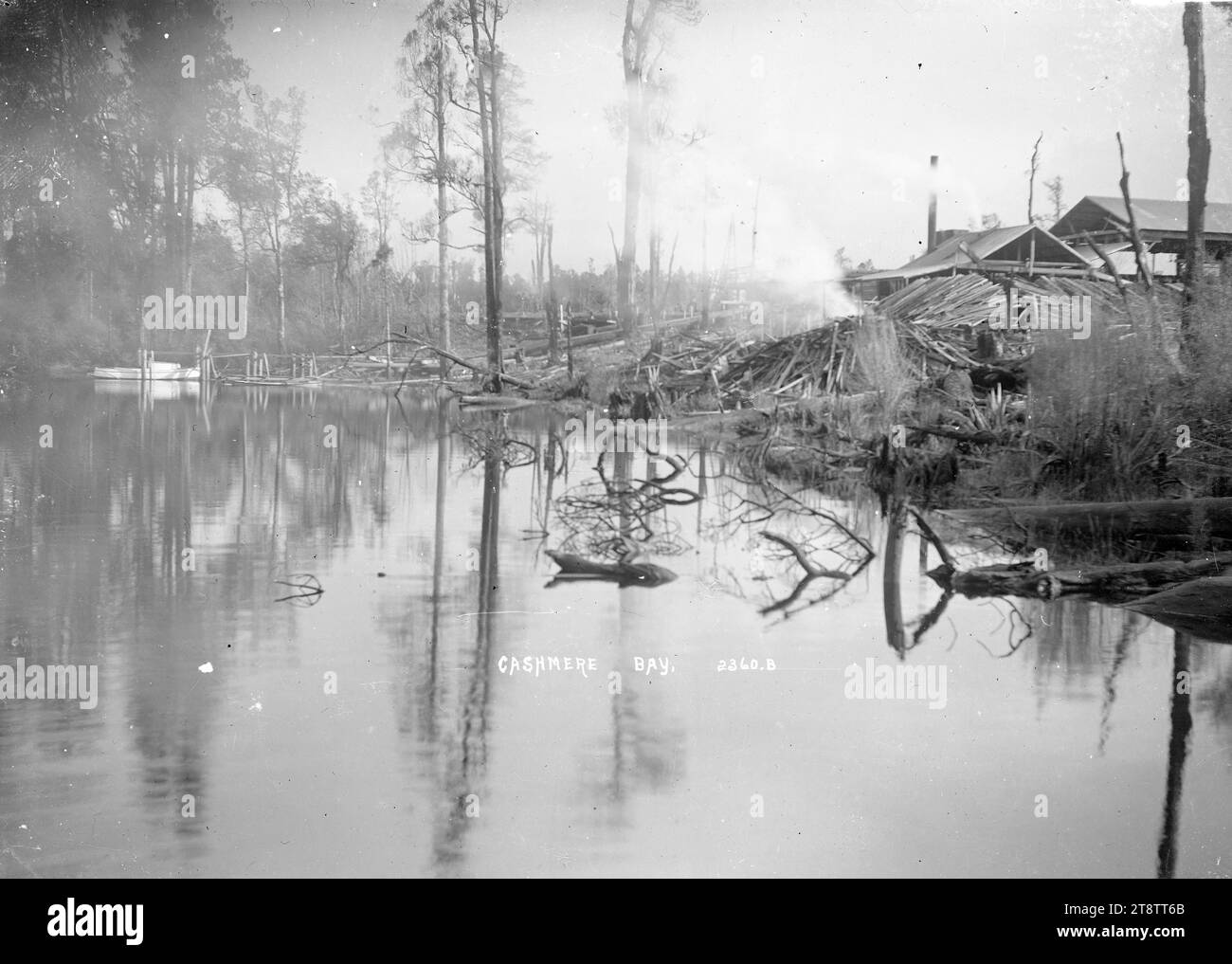 Cashmere Bay, Lake Brunner, Westland, View of Cashmere Bay, Lake ...