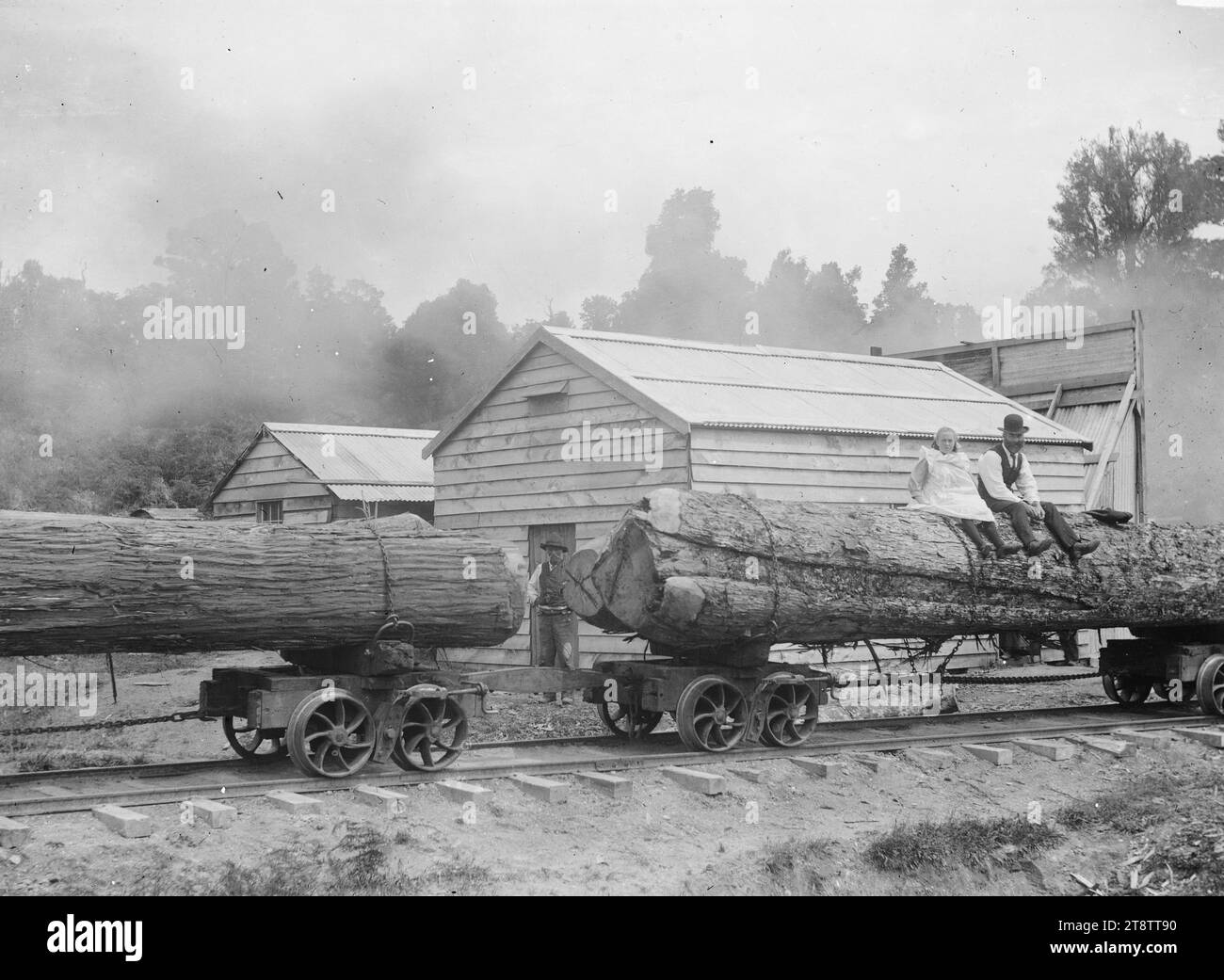 Timber bogies hi-res stock photography and images - Alamy