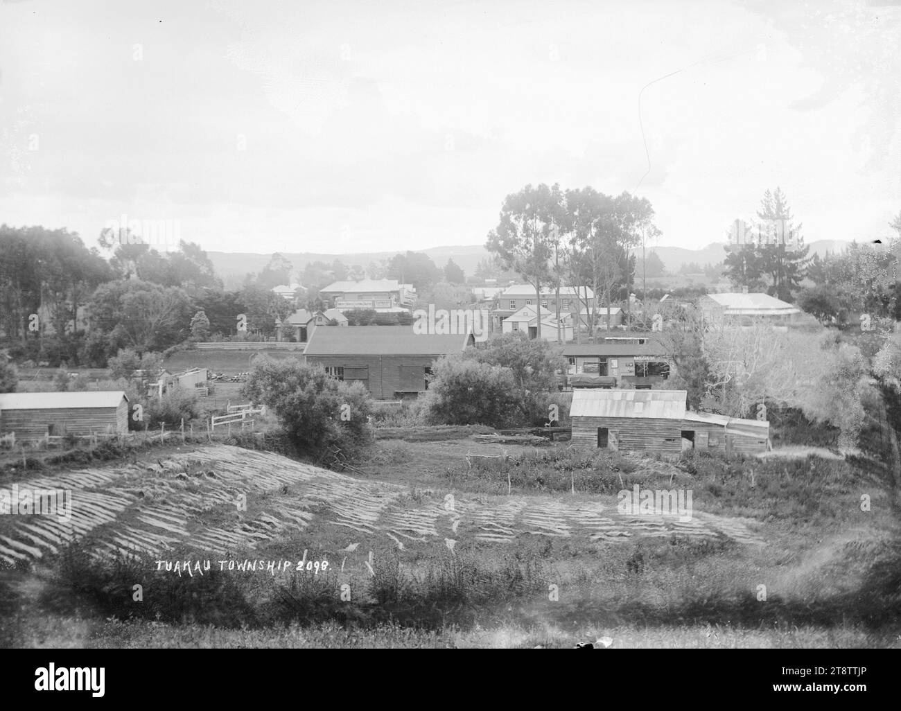 Tuakau township, Tuakau township, photographed between 1910 and 1930 ...