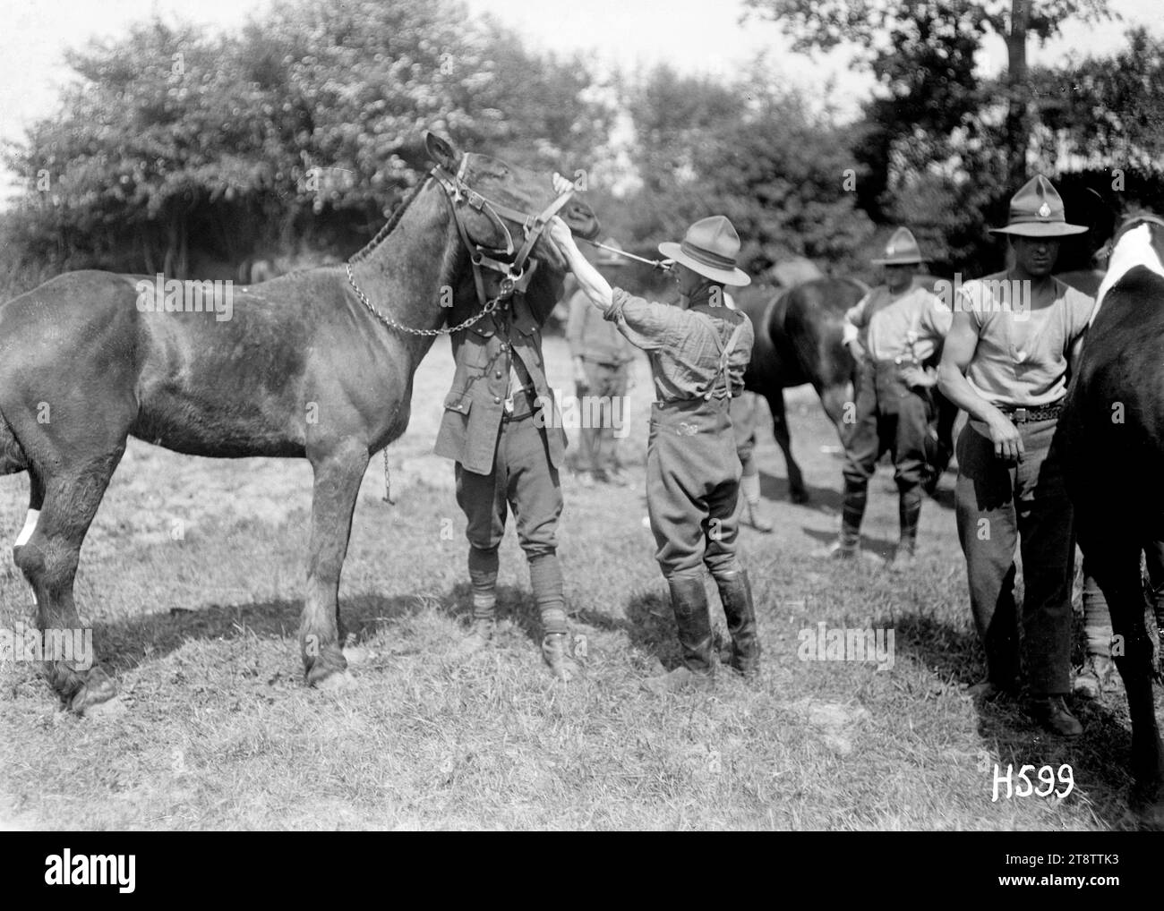 World war i vet hi-res stock photography and images - Alamy