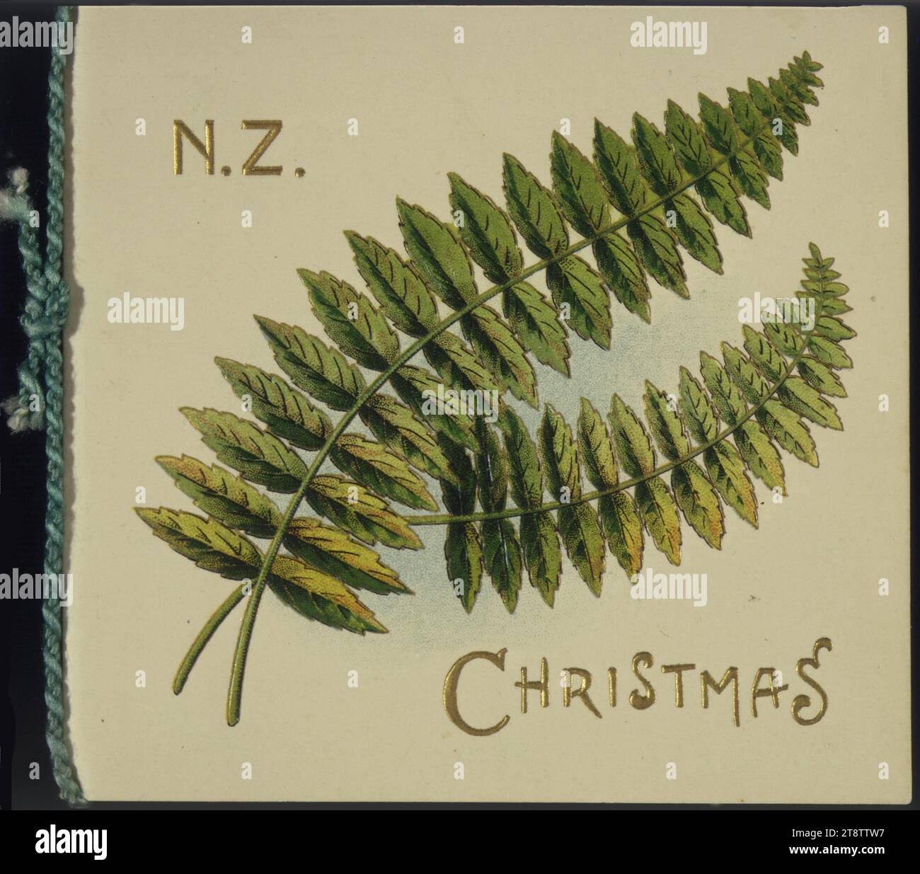 N. Z. Christmas. Fern. Card. 1900-1919, Shows two fern leaves ...