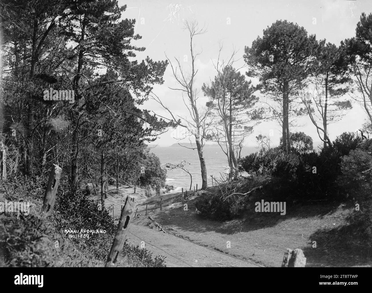 General view of Kawau Island, View of a road close to the coast ...