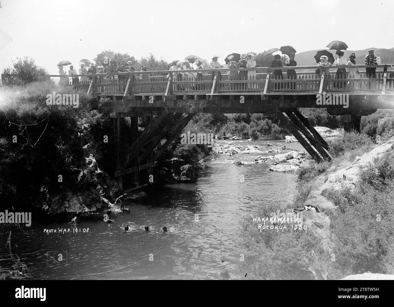 Children diving for pennies from the bridge at Whakarewarewa, New ...