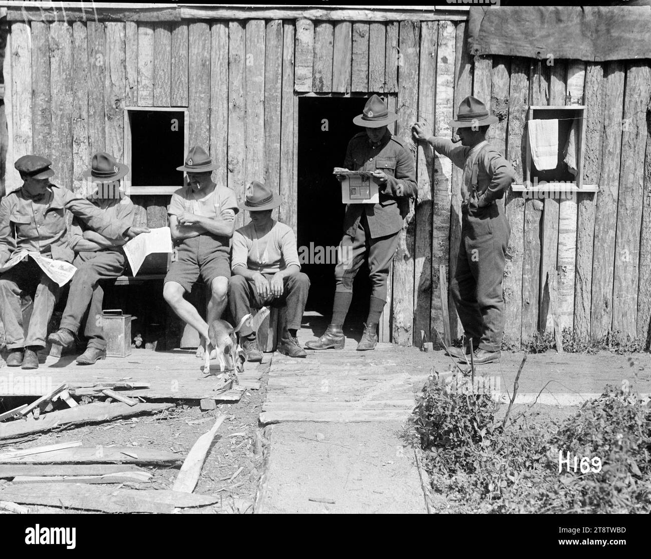 Timber shantys hi-res stock photography and images - Alamy