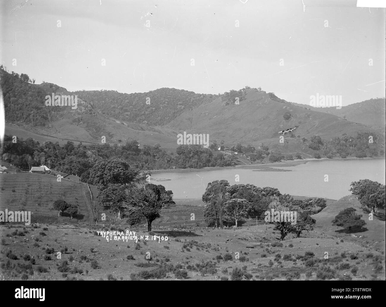 View of Tryphena Bay, Great Barrier Island, View overlooking Tryphena ...
