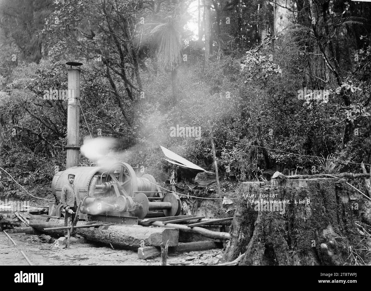 Steam log hauler, kauri forest, main trunk line, North Island, Steam ...