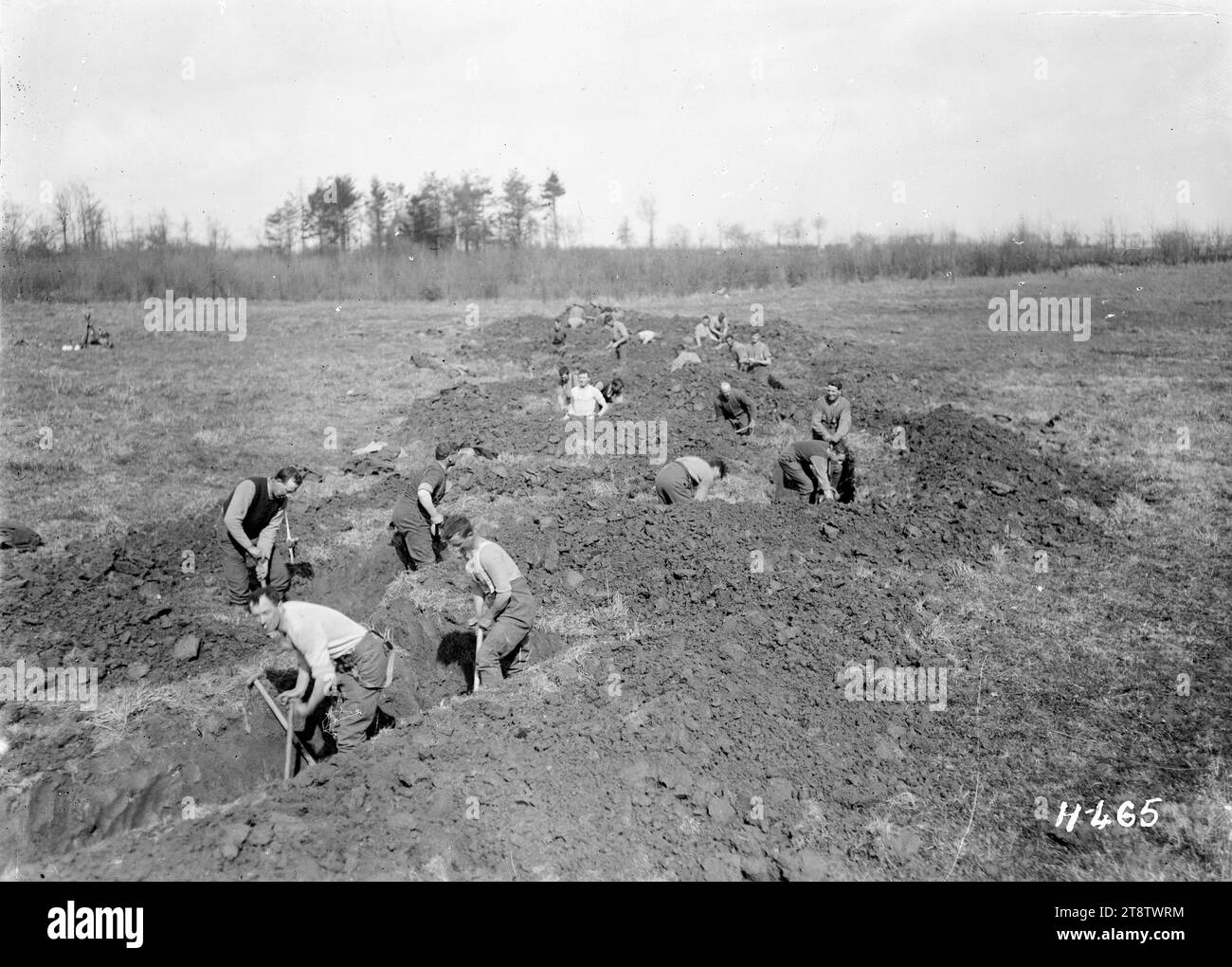 New Zealand troops digging strongpoints on the Somme, Earning their ...