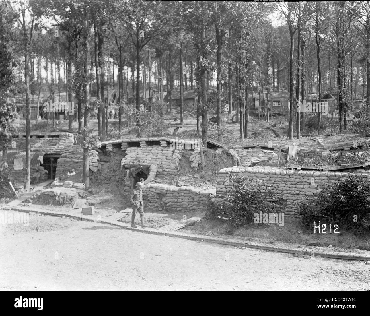 Dug-outs in Ploegsteert Wood, Network of dug-outs constructed in ...