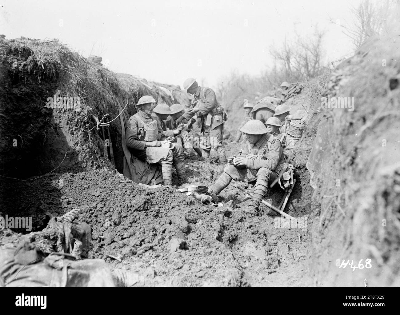 Trench farm Black and White Stock Photos & Images - Alamy