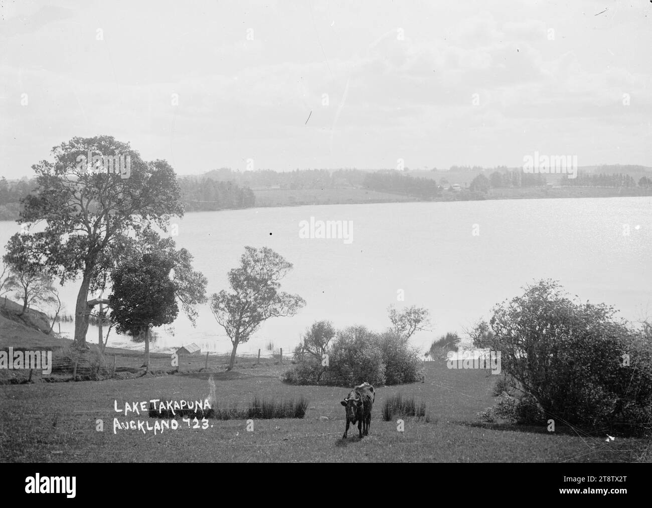 View of Lake Takapuna, Takapuna, View looking across Lake Takapuna (now ...