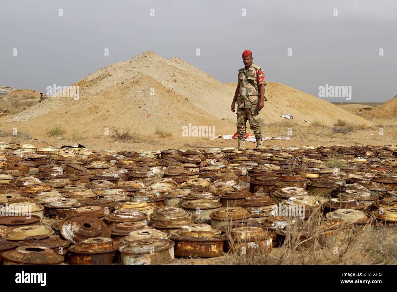 Limpet mine hi-res stock photography and images - Alamy