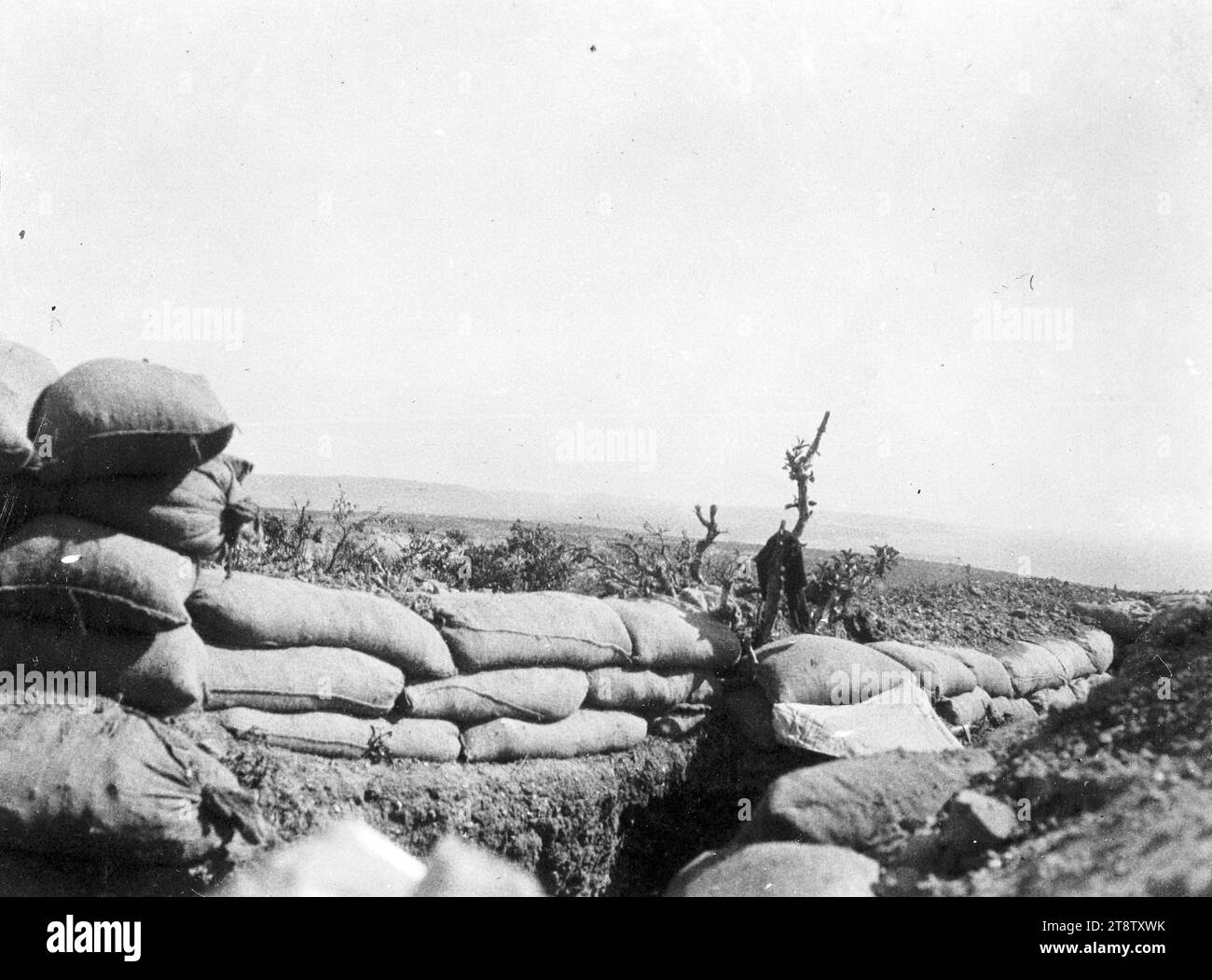 View of a fire trench, Gallipoli, Turkey, 1915 Stock Photo - Alamy
