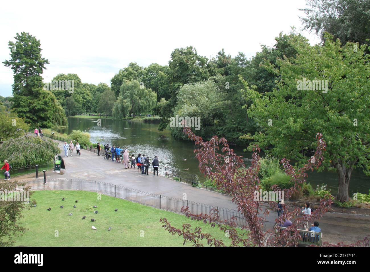 St james park london england hi-res stock photography and images - Alamy