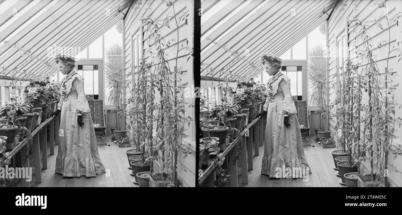 Lydia Williams in the conservatory of her house in Royal Terrace, Kew ...