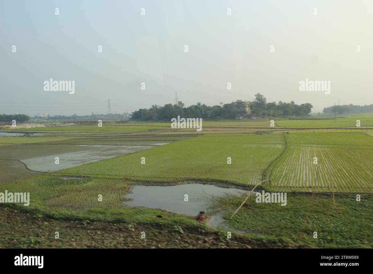 Near dhaka hi-res stock photography and images - Alamy