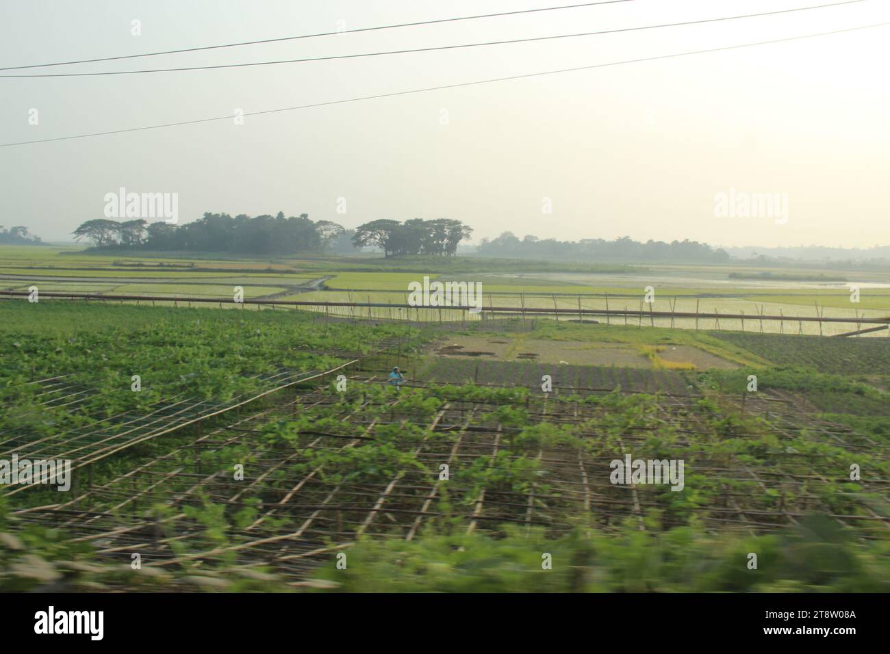 Bangladesh Countryside Near Dhaka, Dhaka, Bangladesh Stock Photo - Alamy
