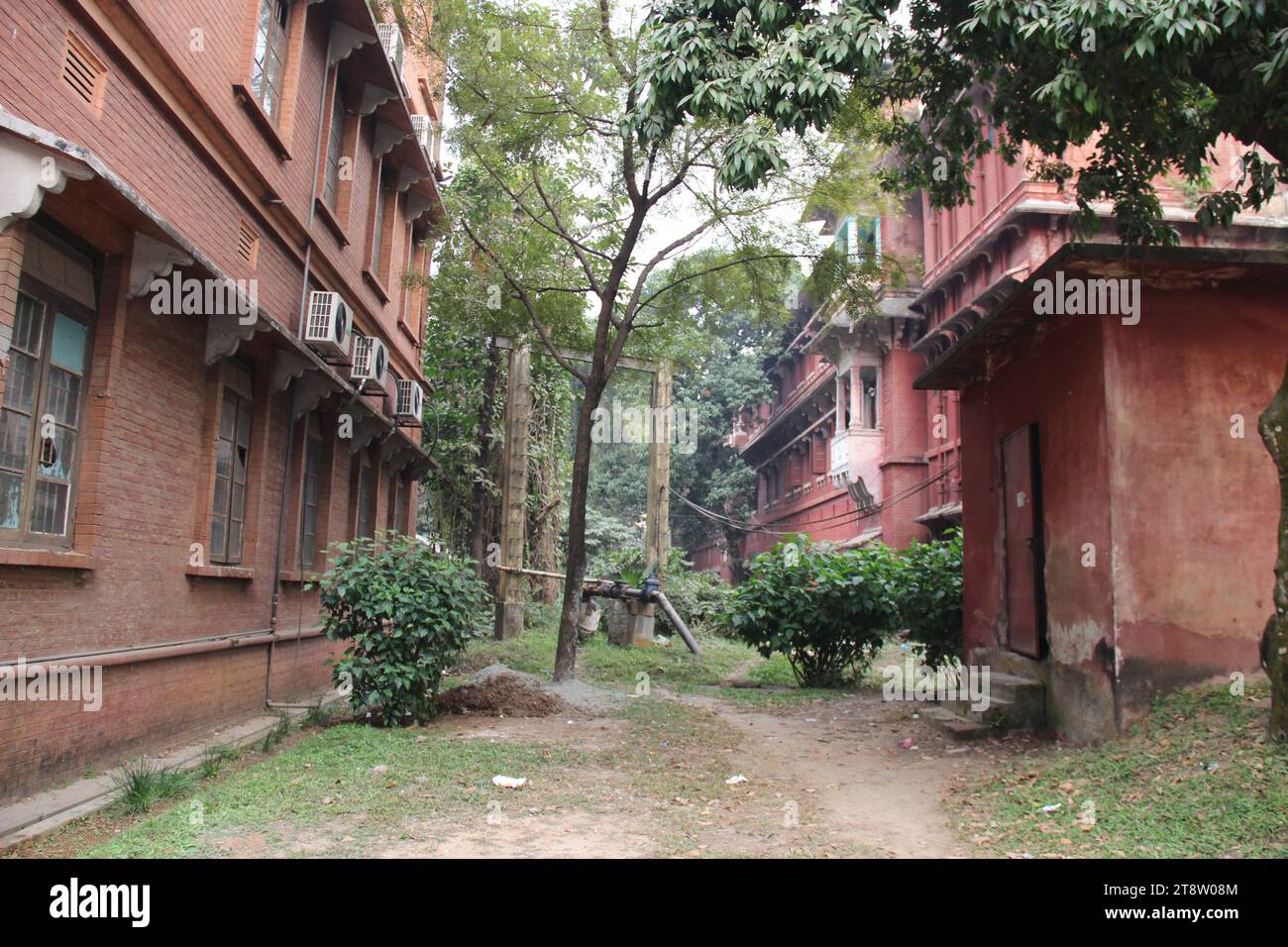 Dhaka University Campus, Dhaka, Bangladesh Stock Photo - Alamy