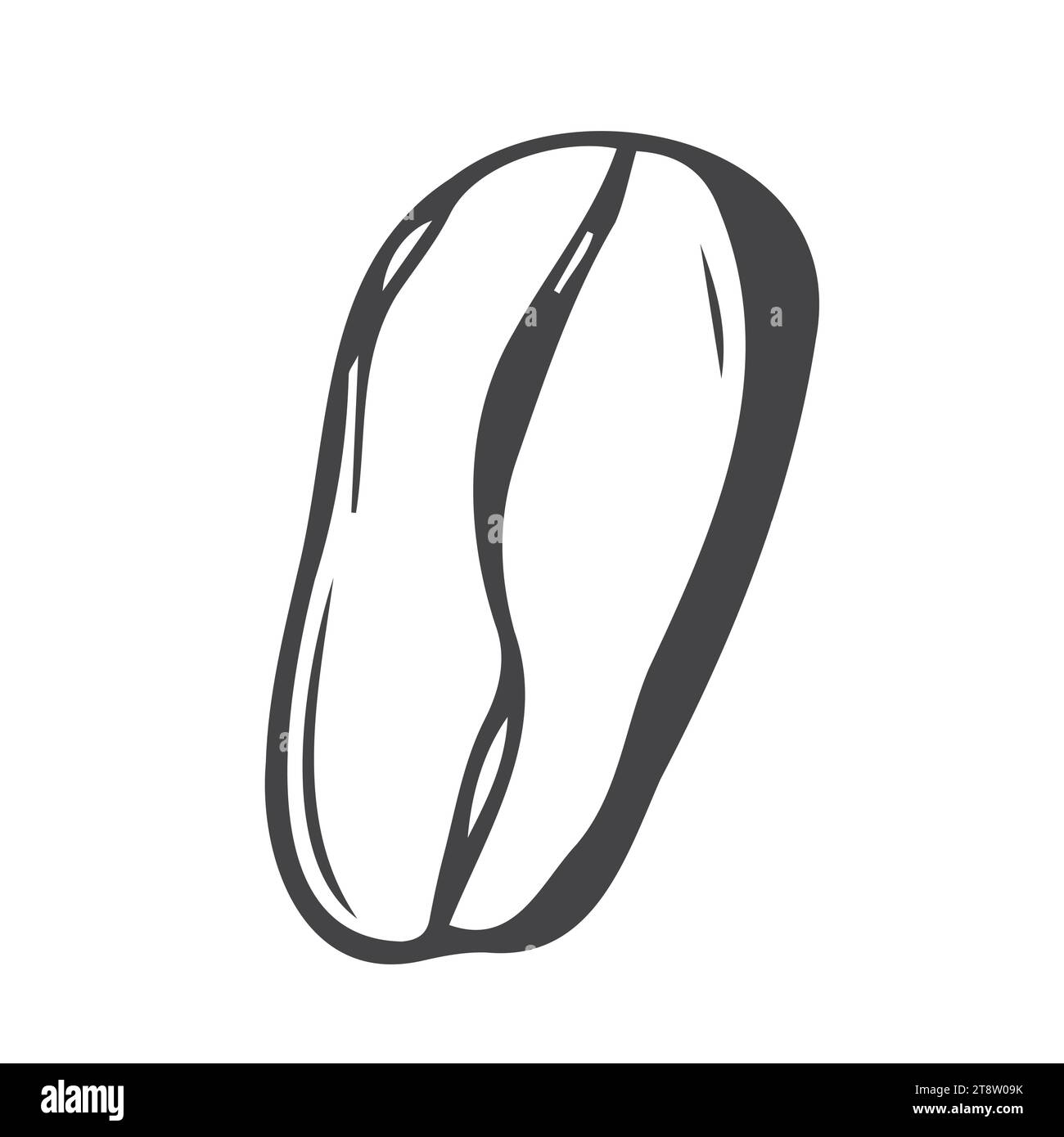 Handrawn vector Coffee bean on White Isolated background in Stock ...