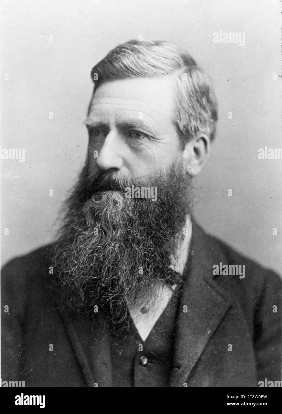 Sir Harry Albert Atkinson, ca 1885 Stock Photo - Alamy