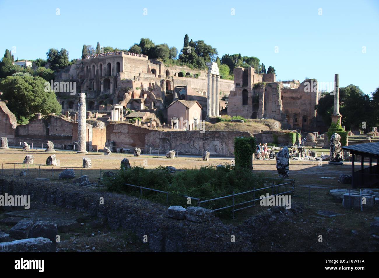 Roman Forum (Forum Romanum): Temple of Castor & Pollux (the Dioscuri ...