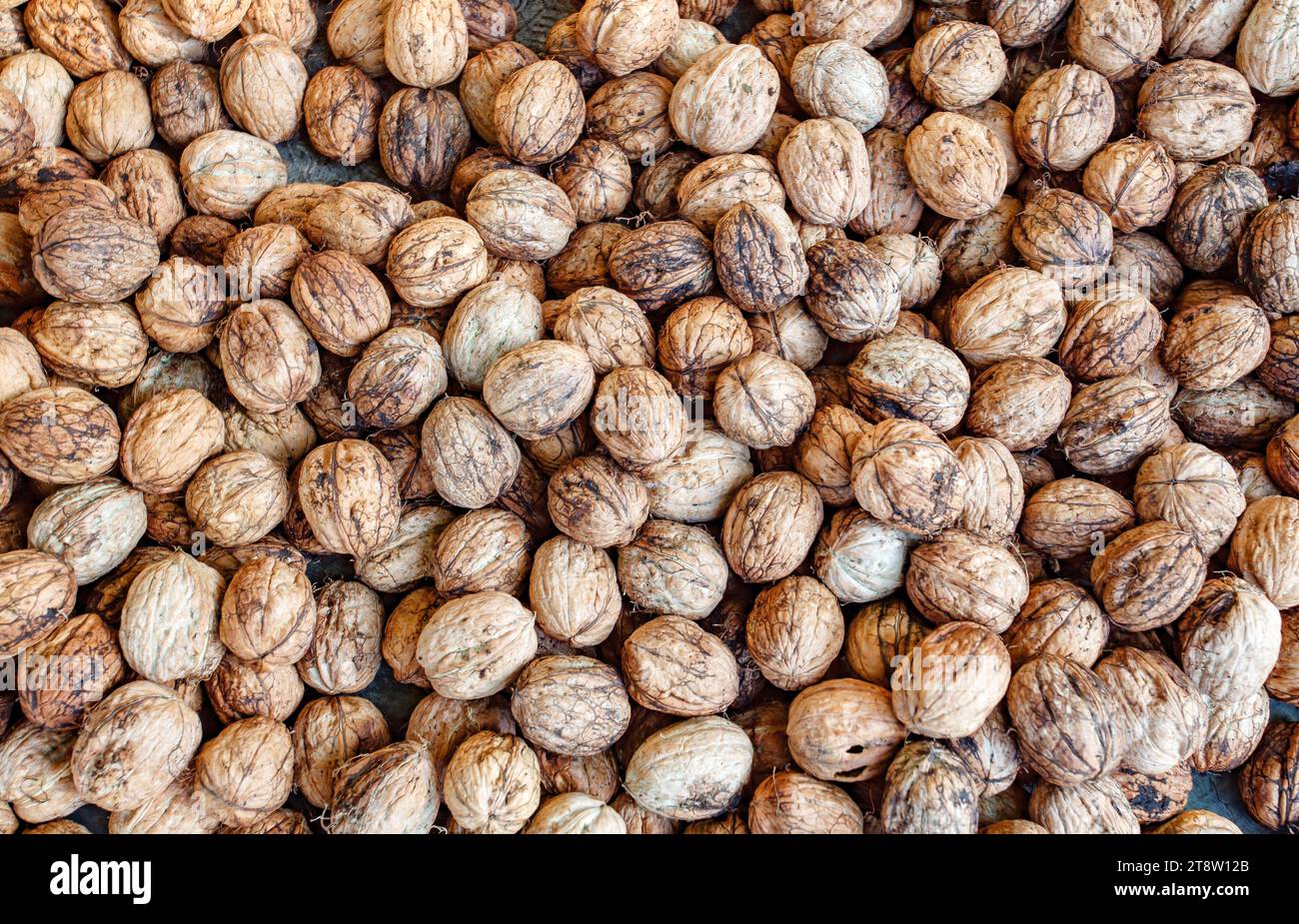 Walnuts, unbroken in bulk, many pieces, background of nuts Stock Photo ...