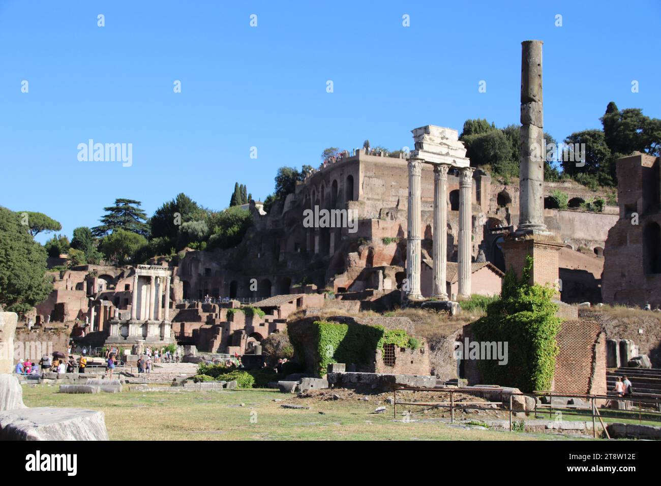Roman Forum (Forum Romanum): Temple of Castor & Pollux (the Dioscuri ...