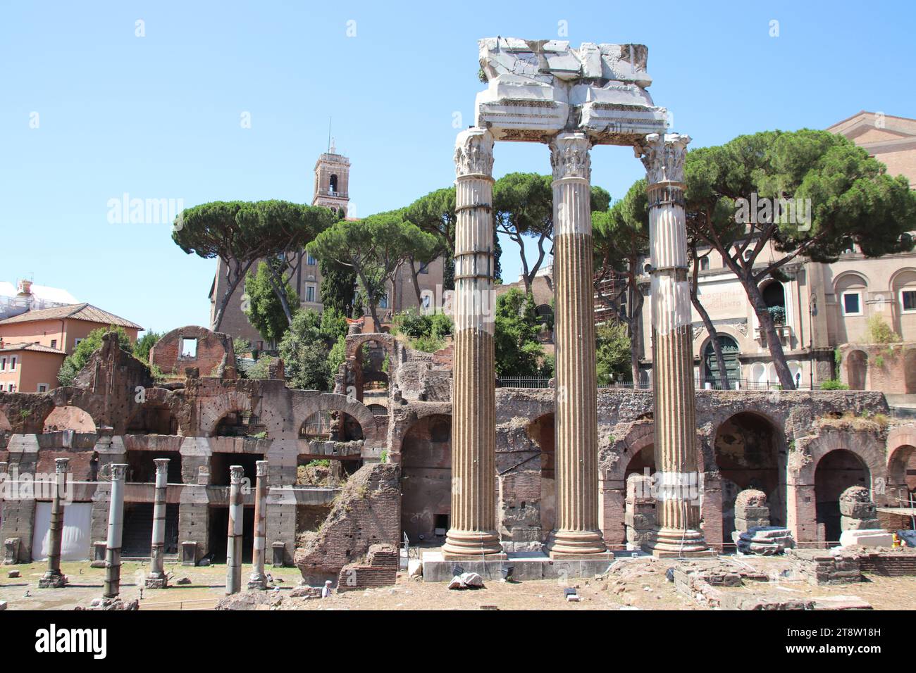 Temple venus genetrix caesar hi-res stock photography and images - Alamy