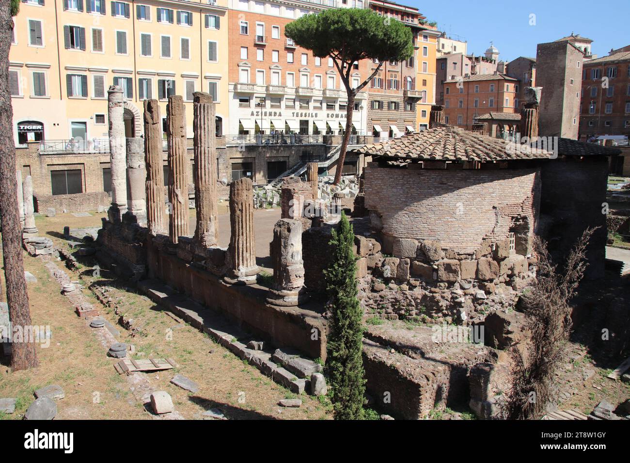 Largo di Torre Argentina, Roman Republican Ruins, Ancient Rome Historic ...