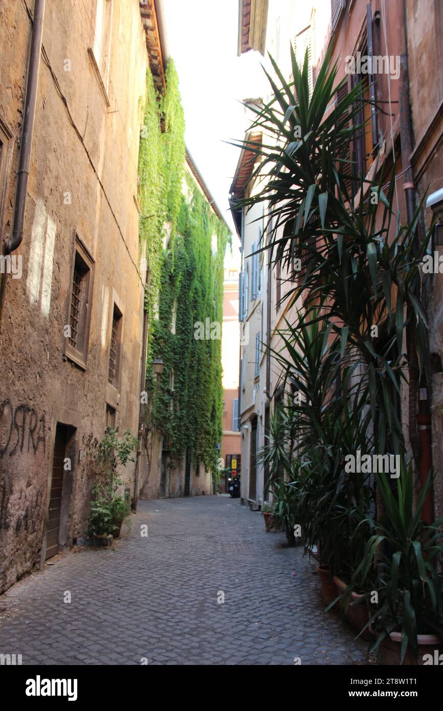Roman Street Near Piazza Navona, Ancient Rome Historic Center, Rome ...