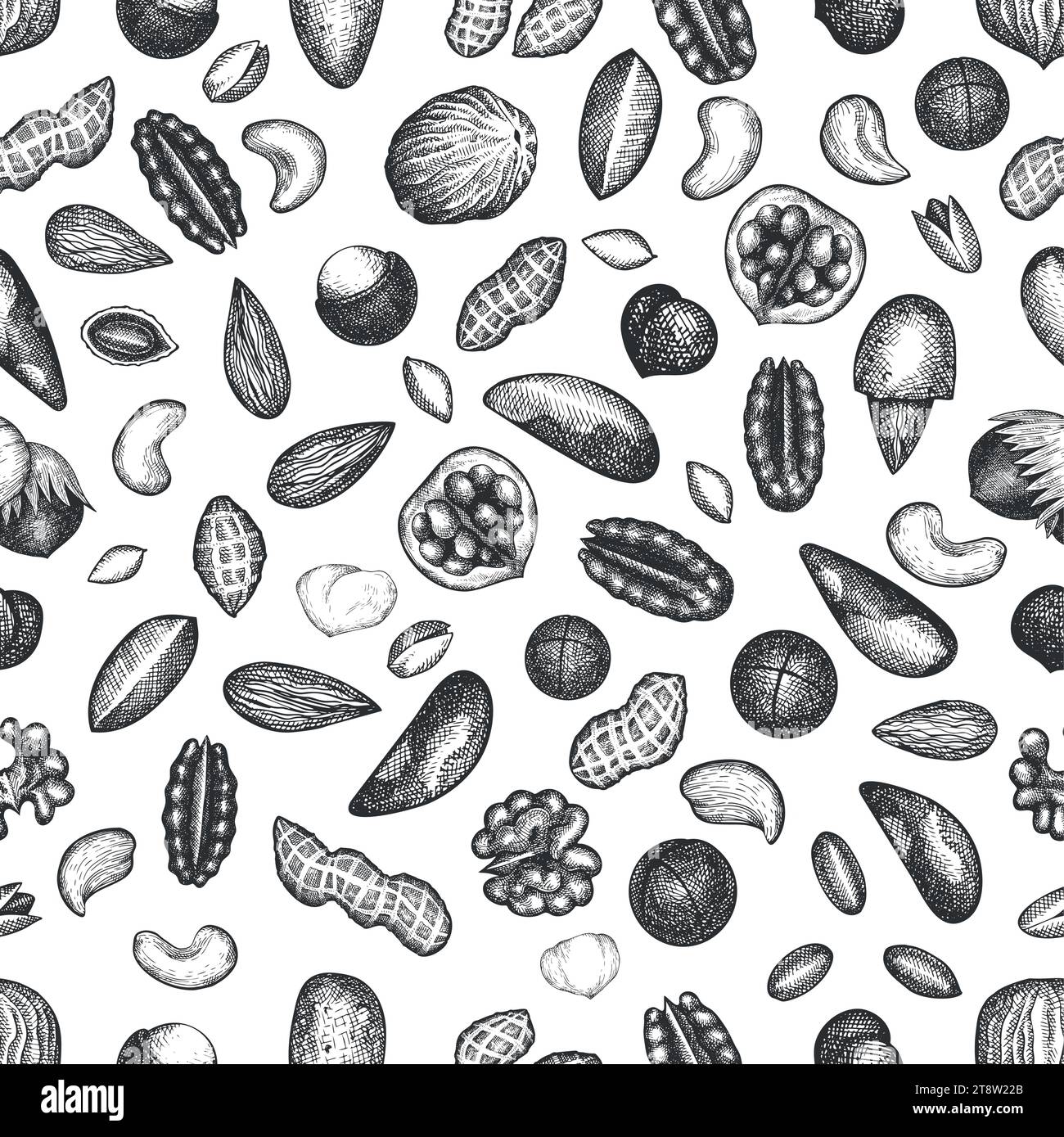 Hand Drawn Nuts Branch And Kernels Background. Seed Vector Seamless ...