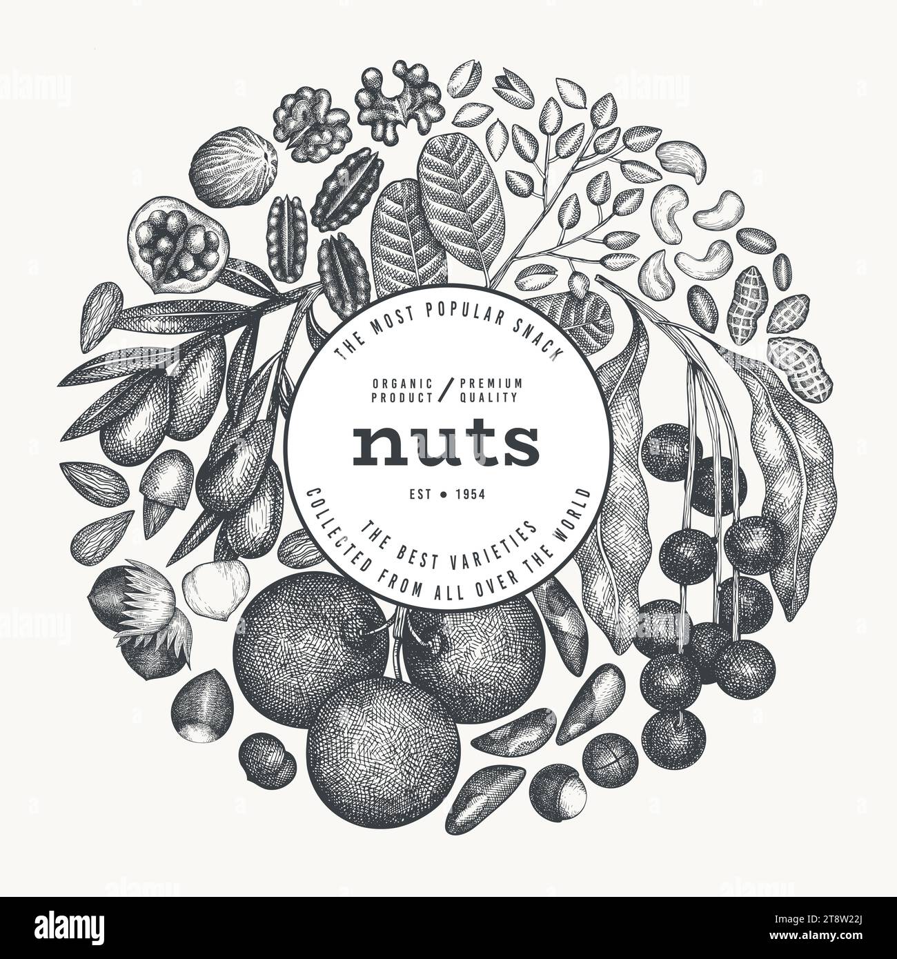 Hand Drawn Nuts Branch And Kernels Template. Organic Seed Vector Design ...
