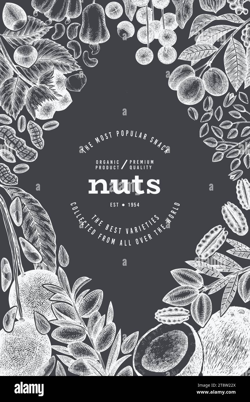 Hand Drawn Nuts Branch And Kernels Template. Organic Seed Vector Design ...