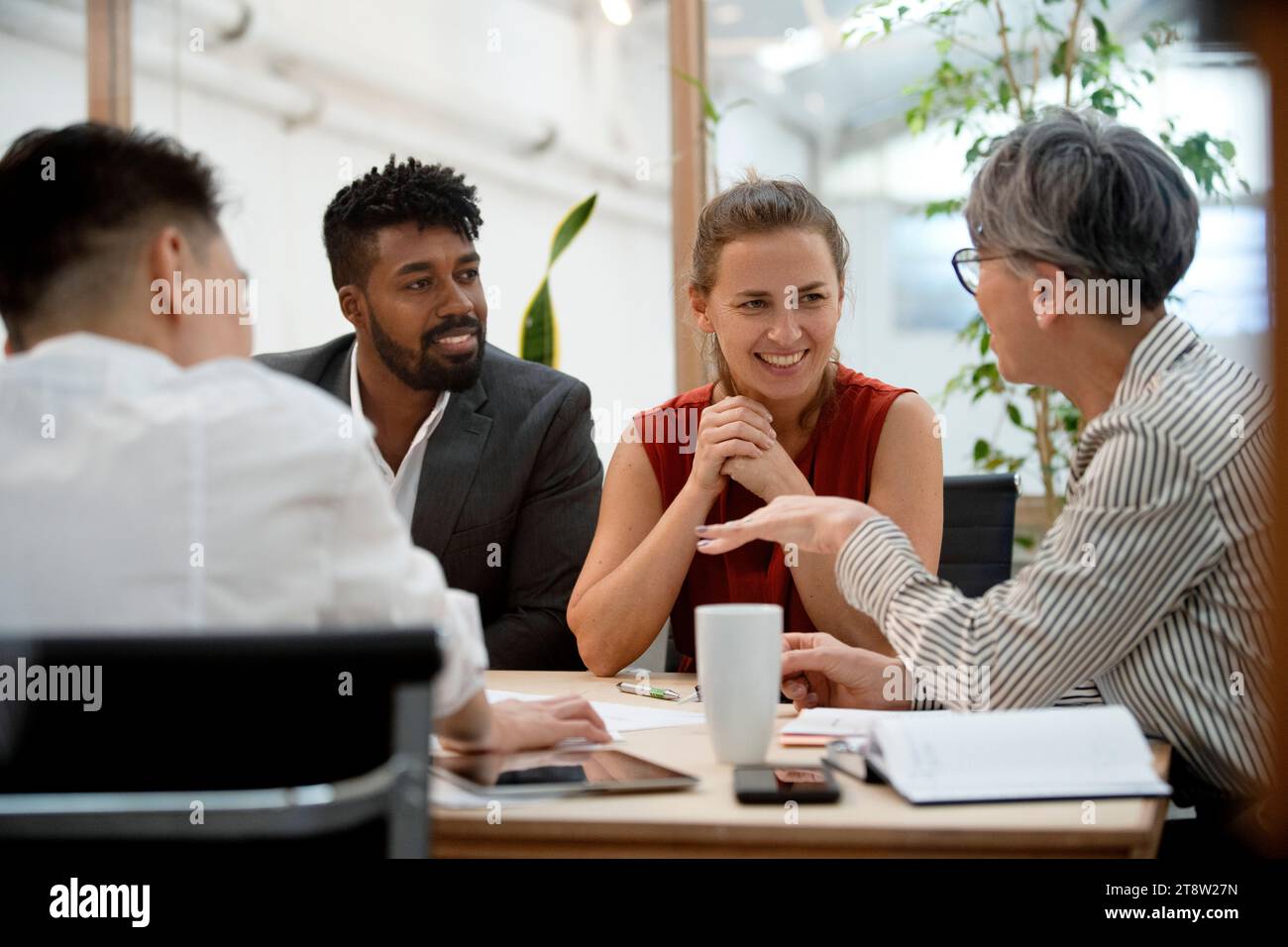 Business professional explaining project hi-res stock photography and ...