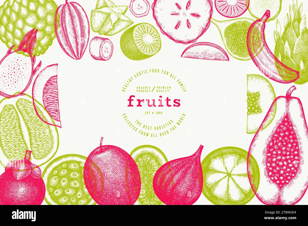 Tropical Fruit Design Template. Vector Hand Drawn Exotic Fruit Banner ...