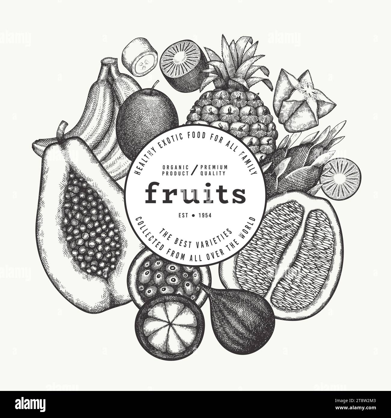Tropical Fruit Design Template. Vector Hand Drawn Exotic Fruit Banner ...