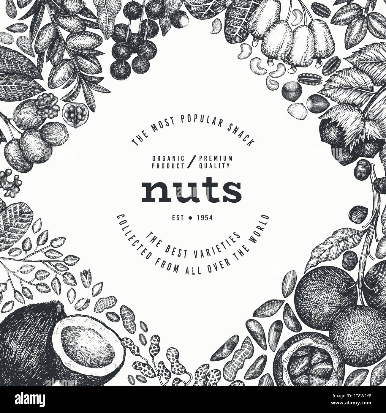 Hand Drawn Nuts Branch And Kernels Template. Organic Seed Vector Design ...