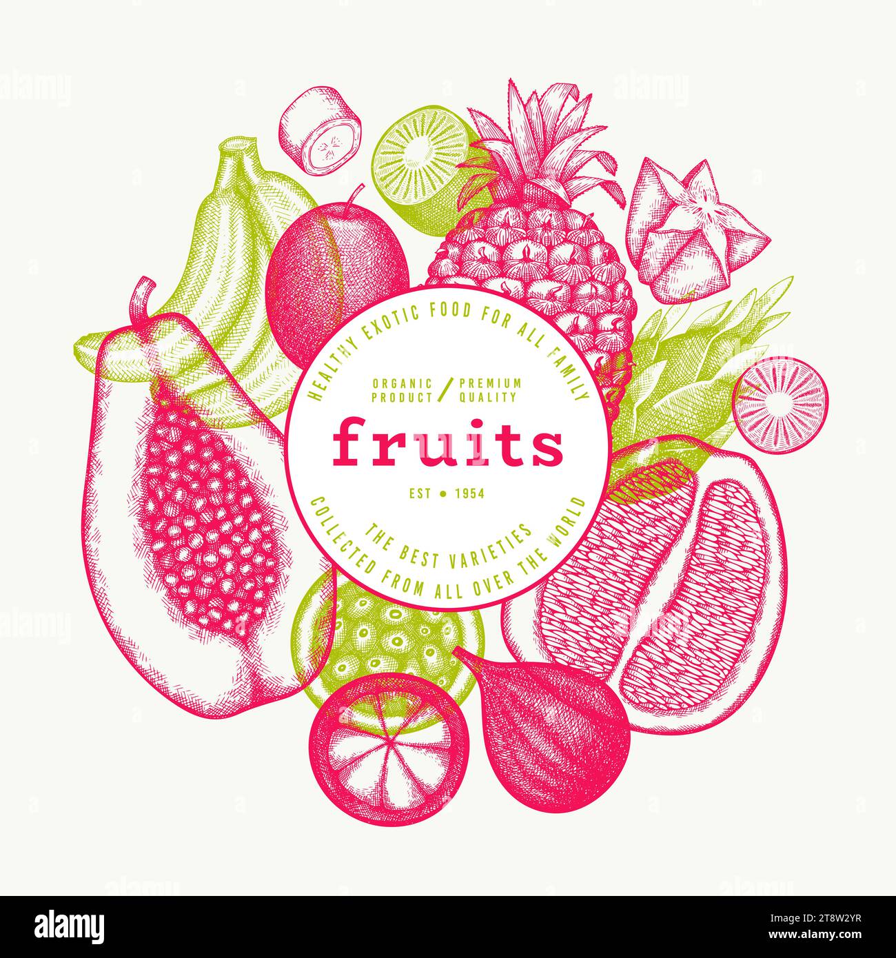 Tropical Fruit Design Template. Vector Hand Drawn Exotic Fruit Banner ...