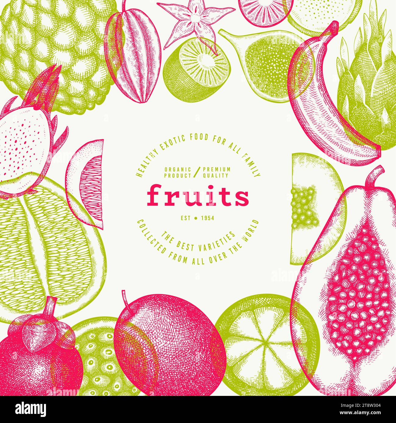 Tropical Fruit Design Template. Vector Hand Drawn Exotic Fruit Banner ...