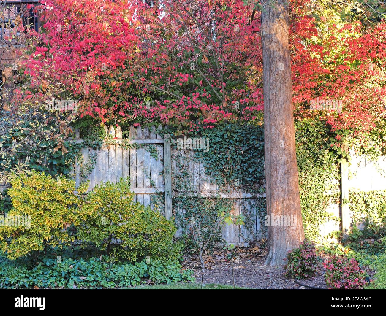 Corner of a yard hi-res stock photography and images - Alamy
