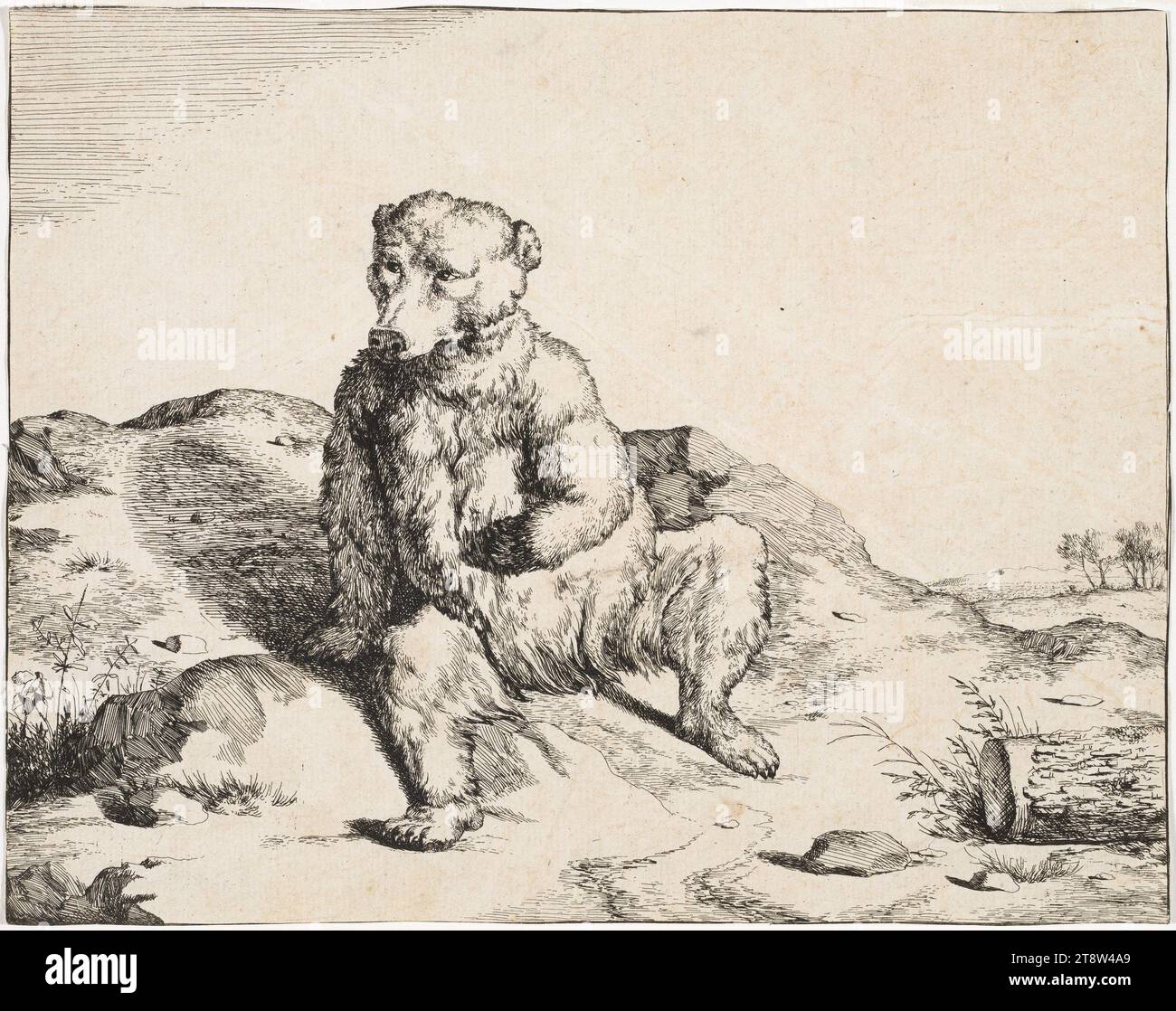 Marcus de Bye, 1639, 1688, Sitting bear from the front, 12.7 × 16.2 cm ...