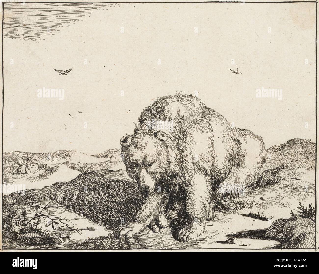 Marcus de Bye, 1639, 1688, Bear licking its front leg, 10.8 × 14.2 cm ...