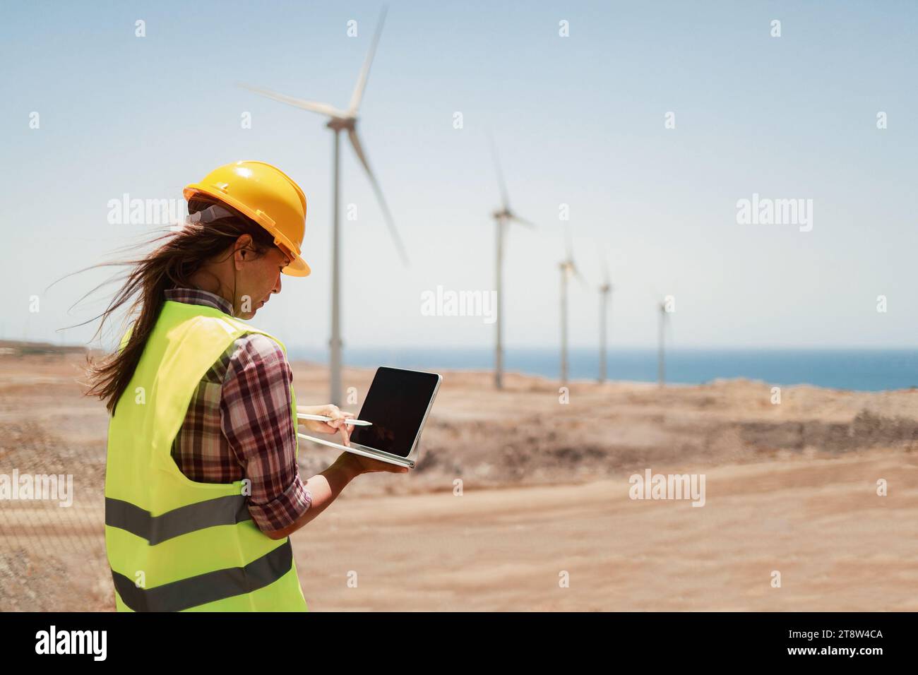 Engineer working at alternative renewable wind energy farm. Sustainable ...