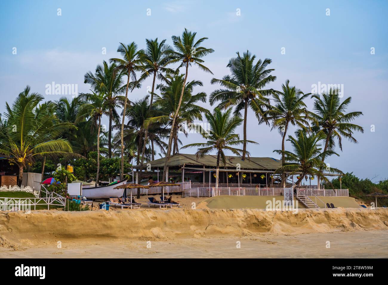 coconut trees on ocean coast near tropical shack or open cafe on beach ...