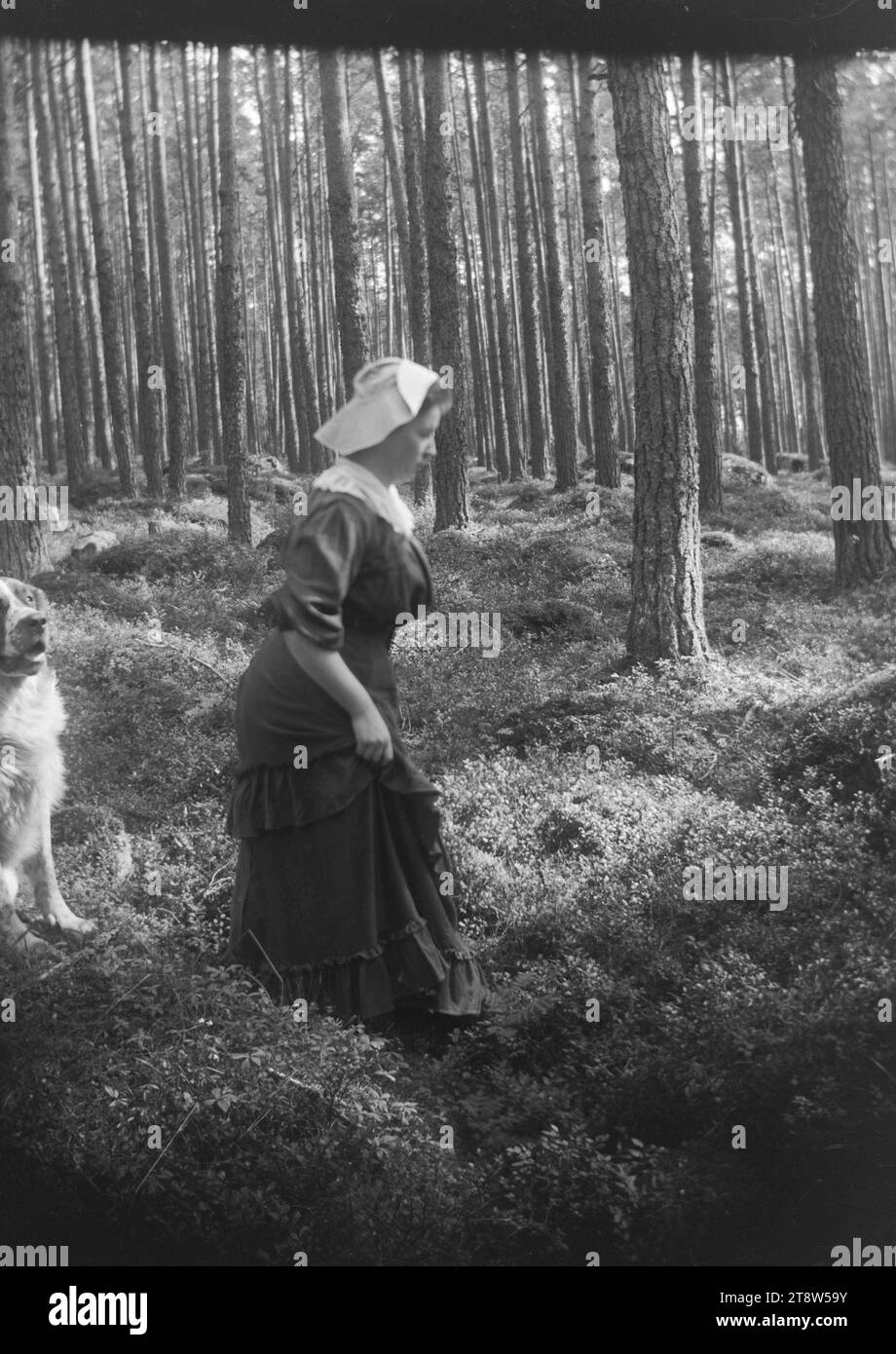 12 members Black and White Stock Photos & Images - Alamy