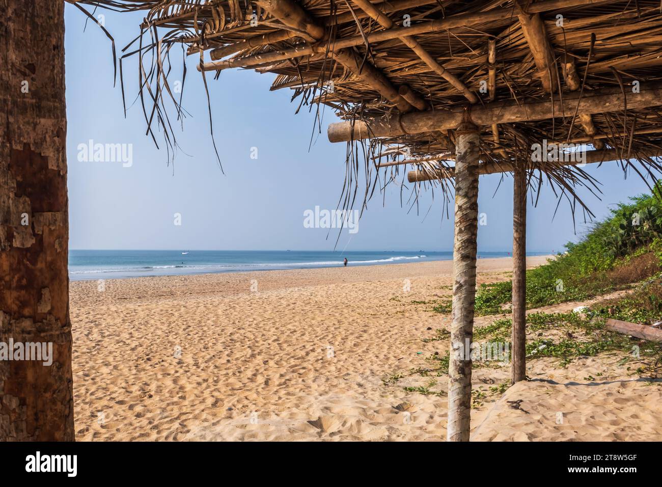 coconut trees on ocean coast near tropical shack or open cafe on beach ...